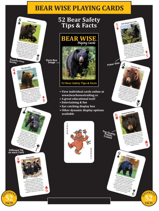 Bear Smart Bear Playing Cards – Imagine Our Florida, Inc