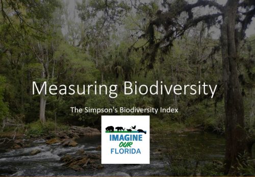 High School Standards – Simpson’s Biodiversity Index Lesson Plan ...