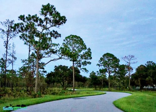Jay B. Starkey Wilderness Park – Imagine Our Florida, Inc