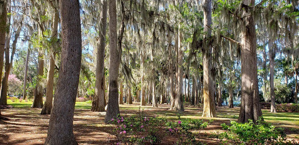 Kraft Azalea Garden – Imagine Our Florida, Inc