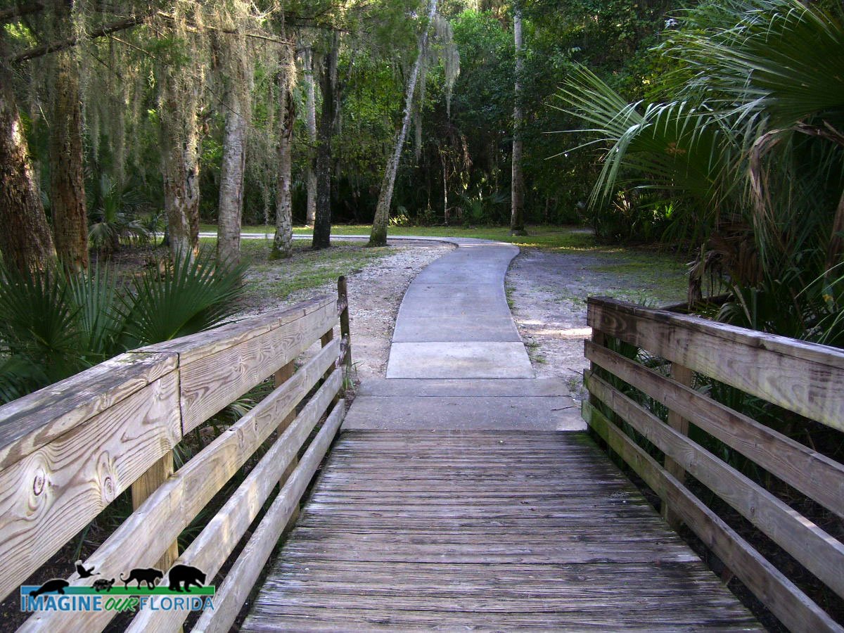Gemini Springs Park – Imagine Our Florida, Inc