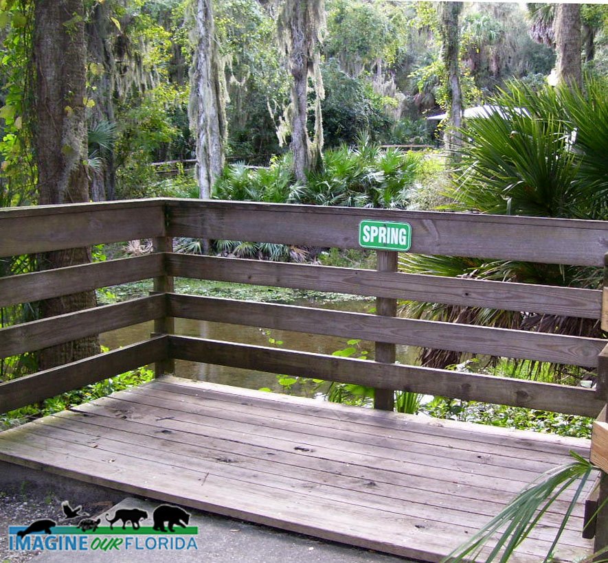 Gemini Springs Park – Imagine Our Florida, Inc