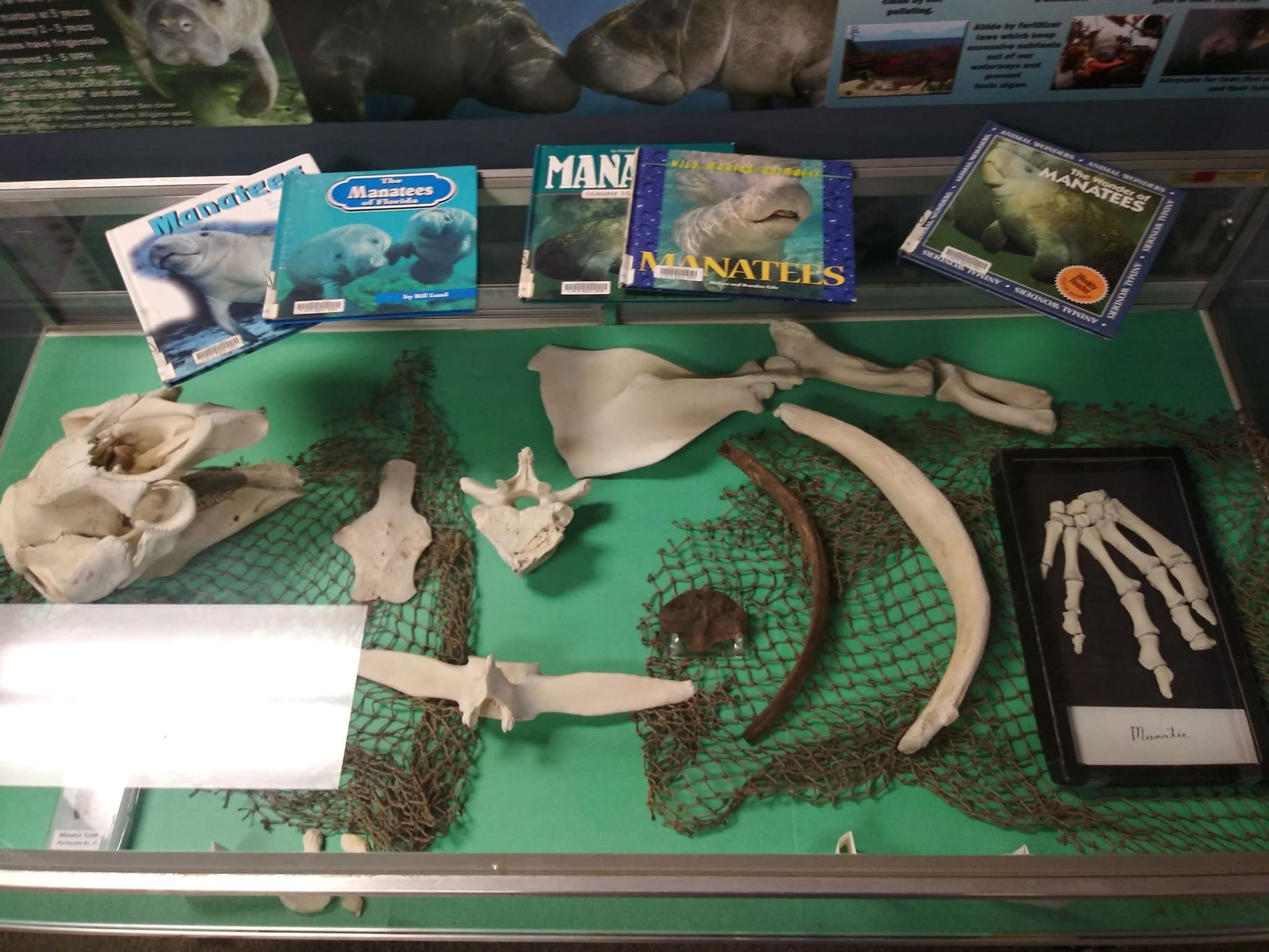 Imagine Our FLorida at Hardee County Public Library – Imagine Our ...