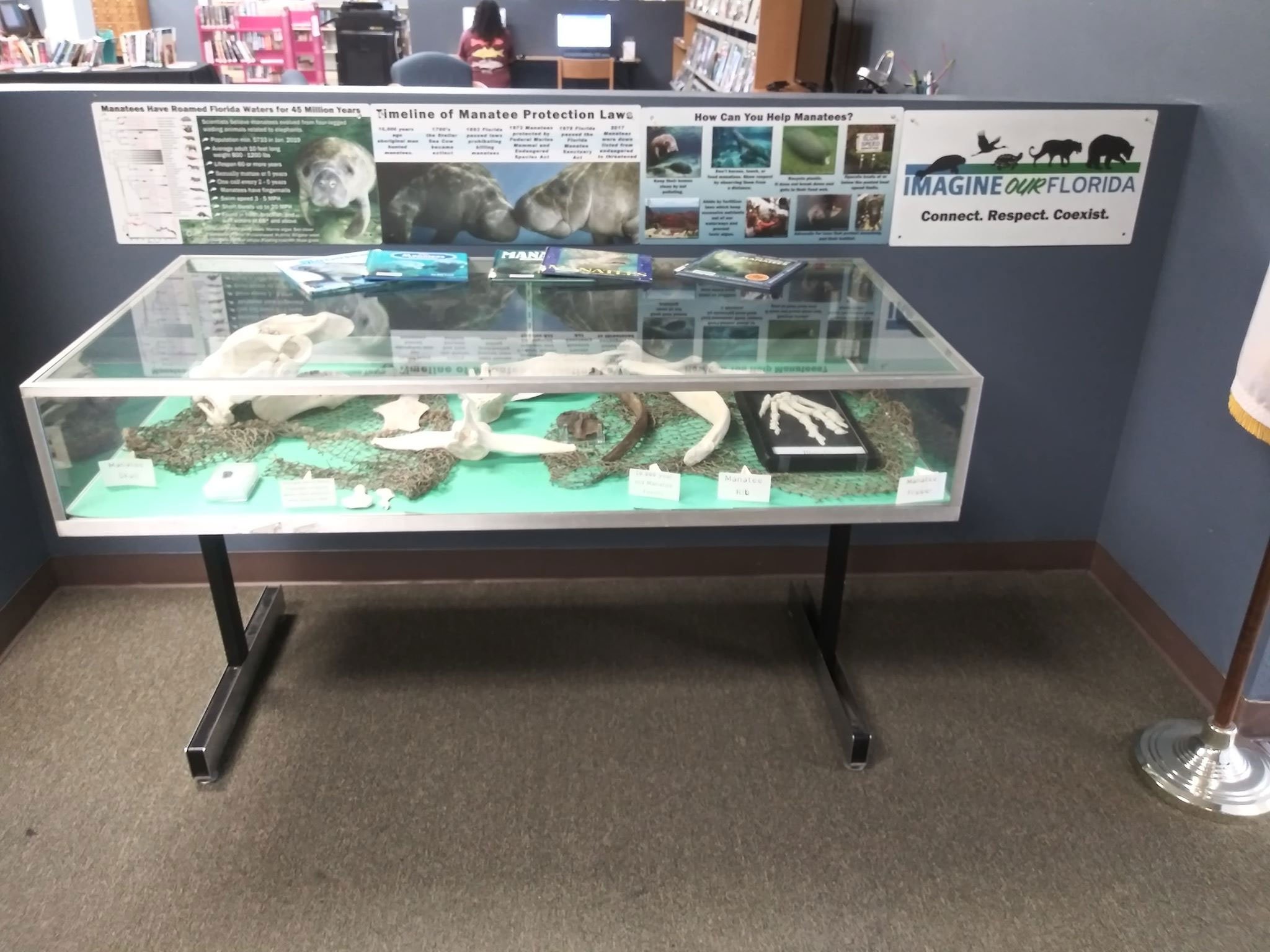 Imagine Our FLorida at Hardee County Public Library – Imagine Our ...