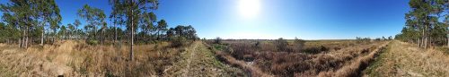 John C & Mariana Jones Hungryland Wildlife and Environmental Area ...