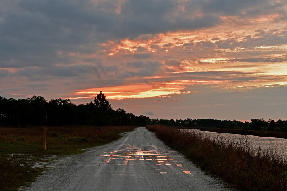 John C & Mariana Jones Hungryland Wildlife and Environmental Area ...