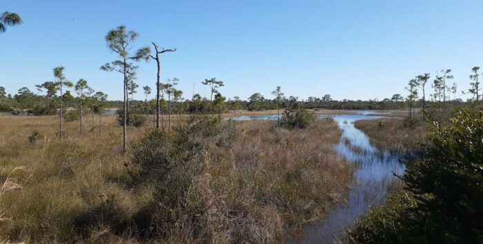 John C & Mariana Jones Hungryland Wildlife and Environmental Area ...