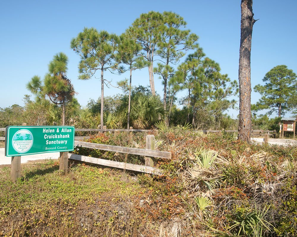 Helen & Allan Cruickshank Sanctuary – Imagine Our Florida, Inc