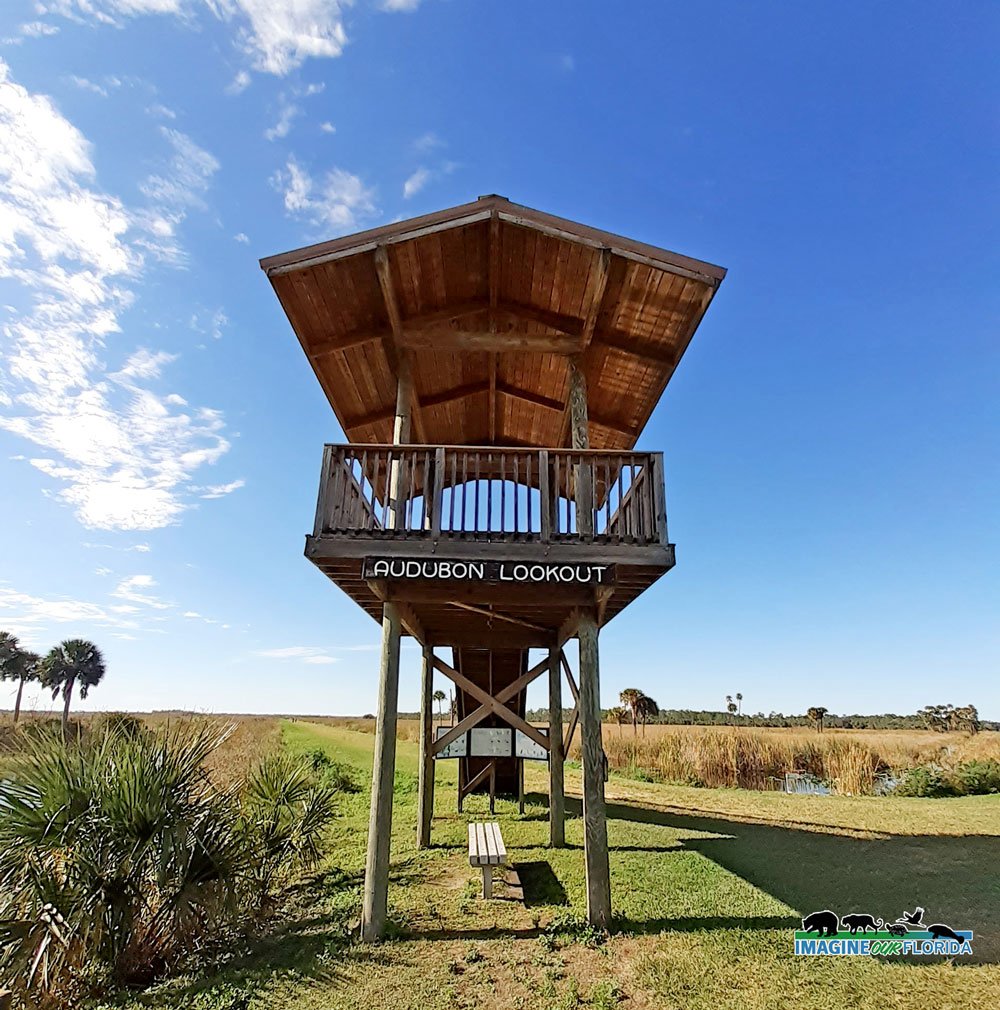 Lake Woodruff National Wildlife Refuge – Imagine Our Florida, Inc
