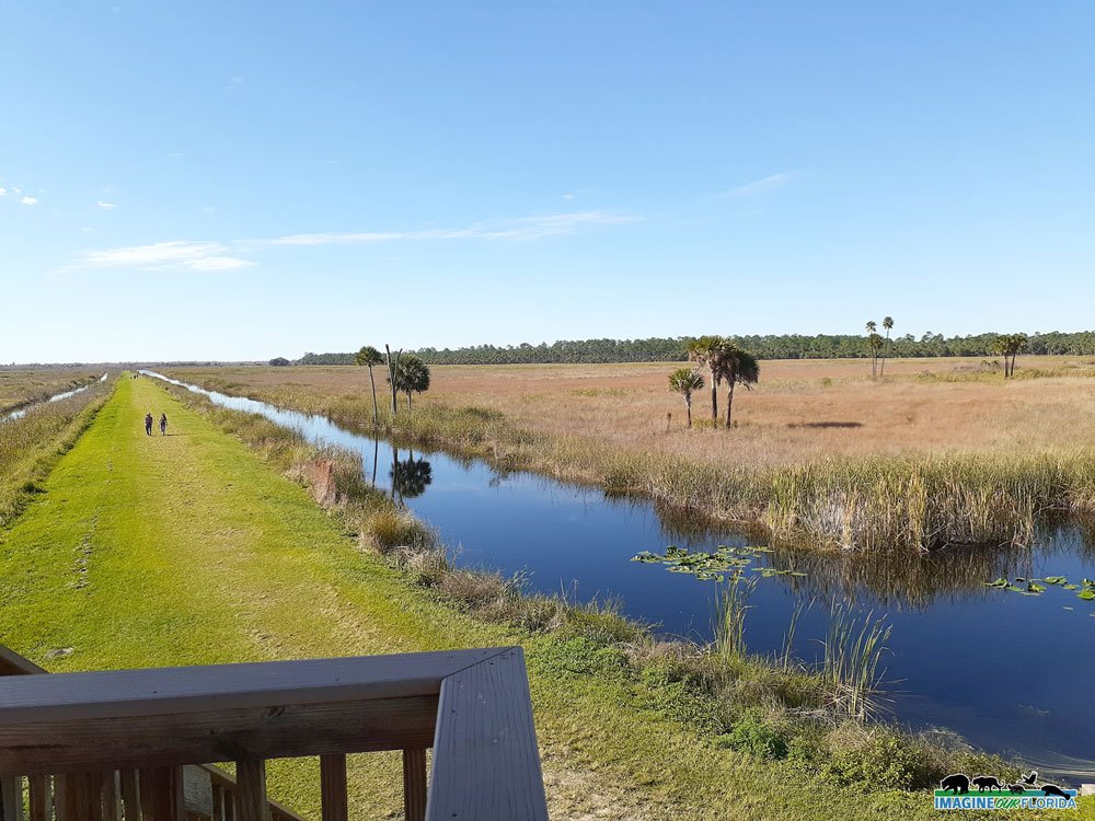 Lake Woodruff National Wildlife Refuge – Imagine Our Florida, Inc