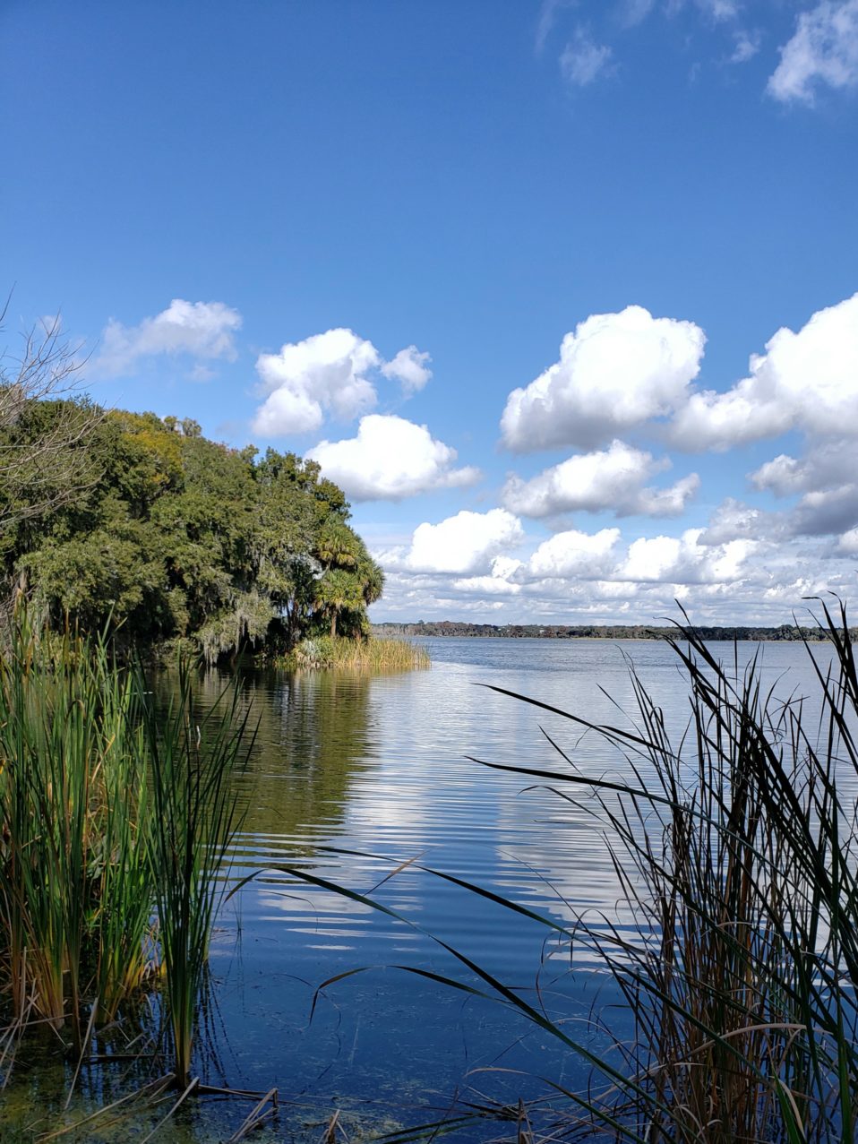 Trimble Park – Imagine Our Florida, Inc