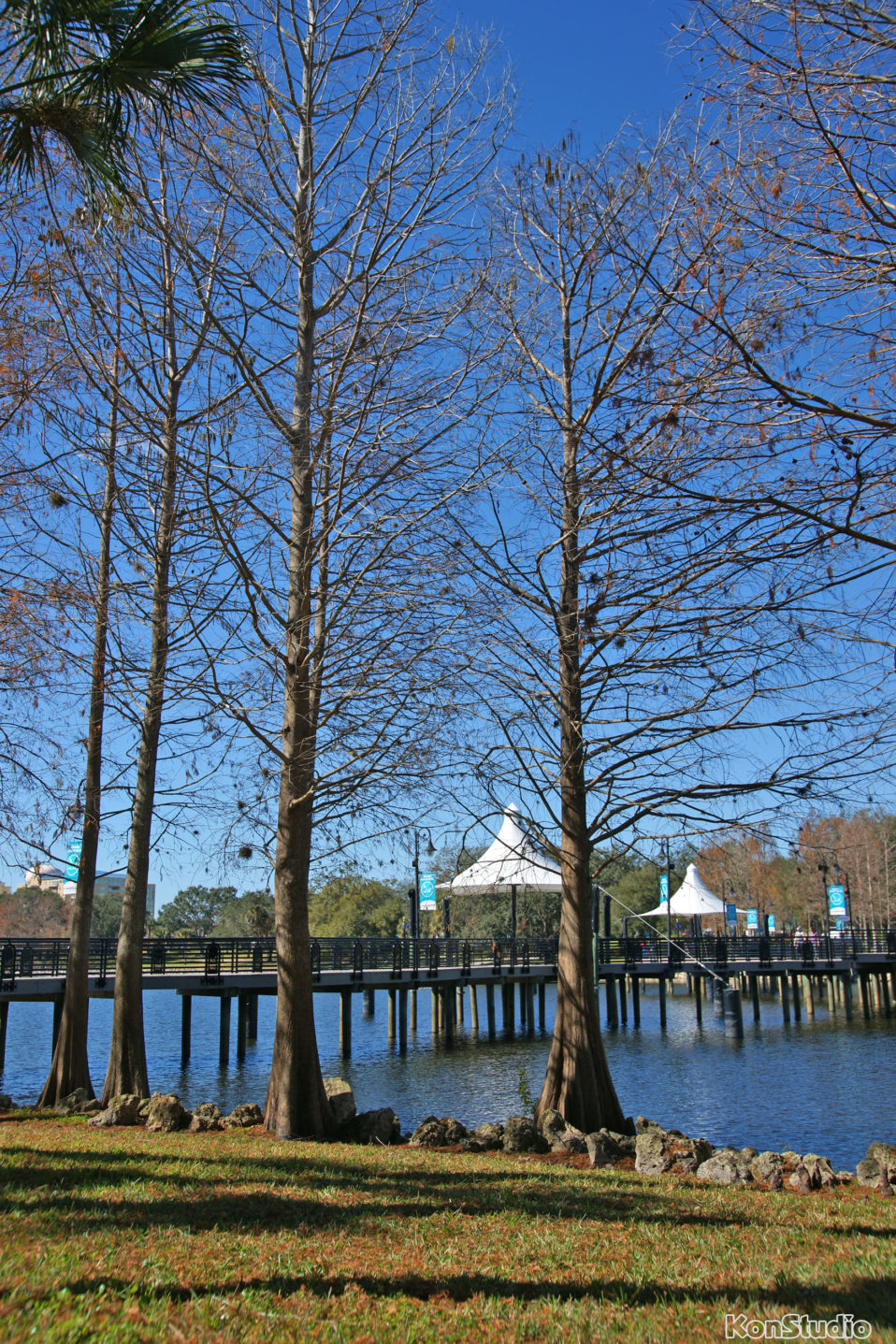 Cranes Roost Park – Imagine Our Florida, Inc