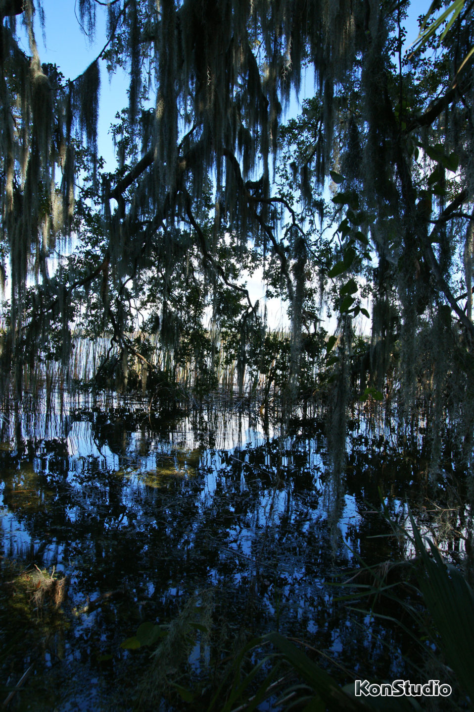 Trimble Park – Imagine Our Florida, Inc
