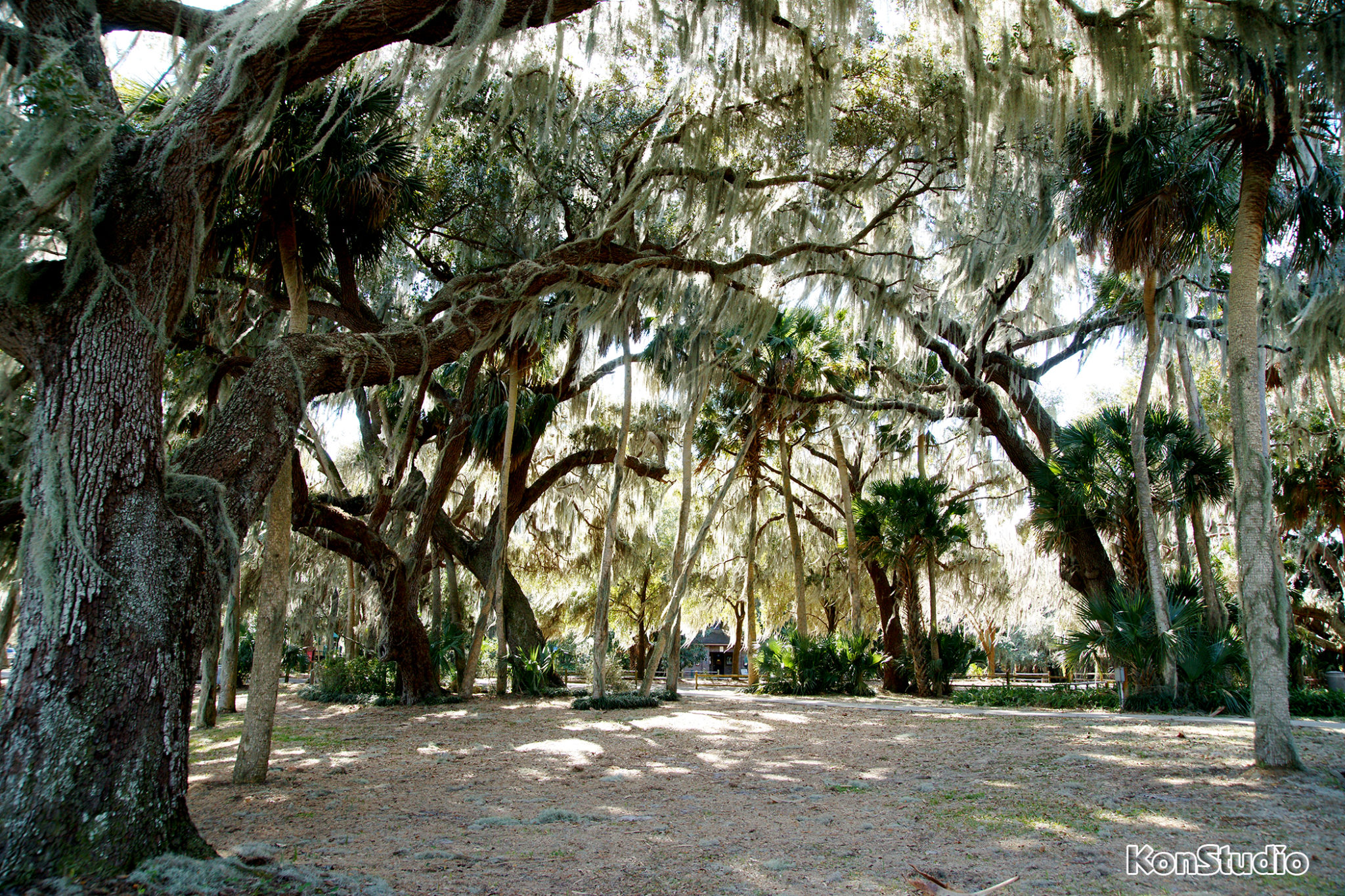 Trimble Park – Imagine Our Florida, Inc