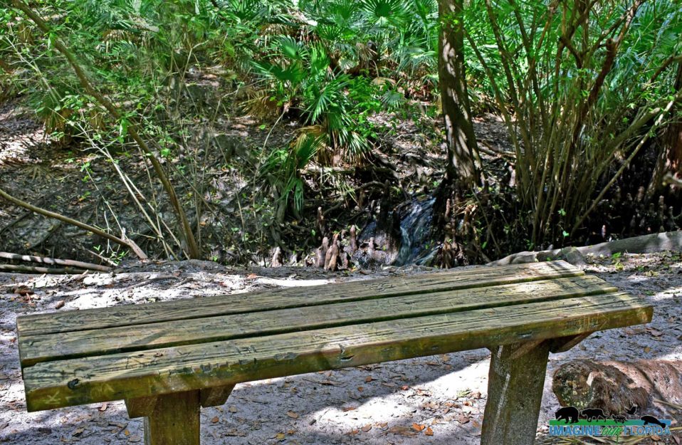 Florida Trail Lockwood to Barr with Boonie Falls – Imagine Our Florida, Inc