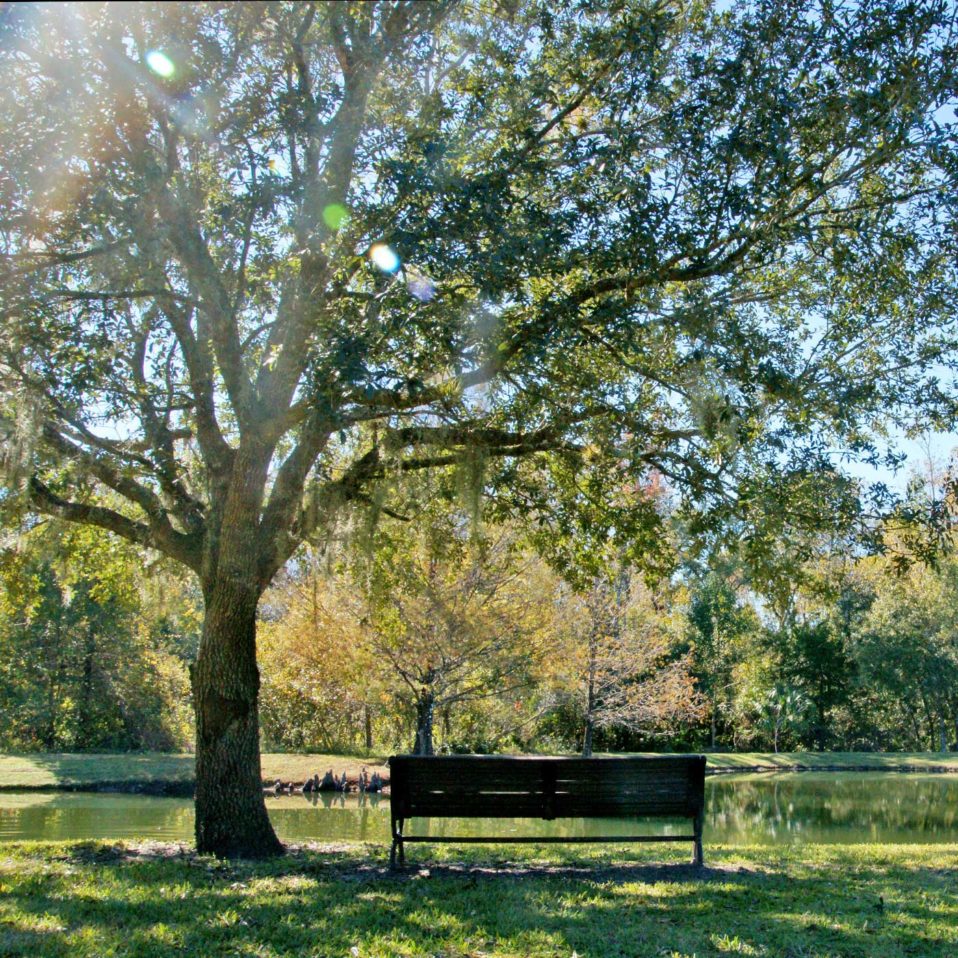 Fort Christmas Historical Park – Imagine Our Florida, Inc