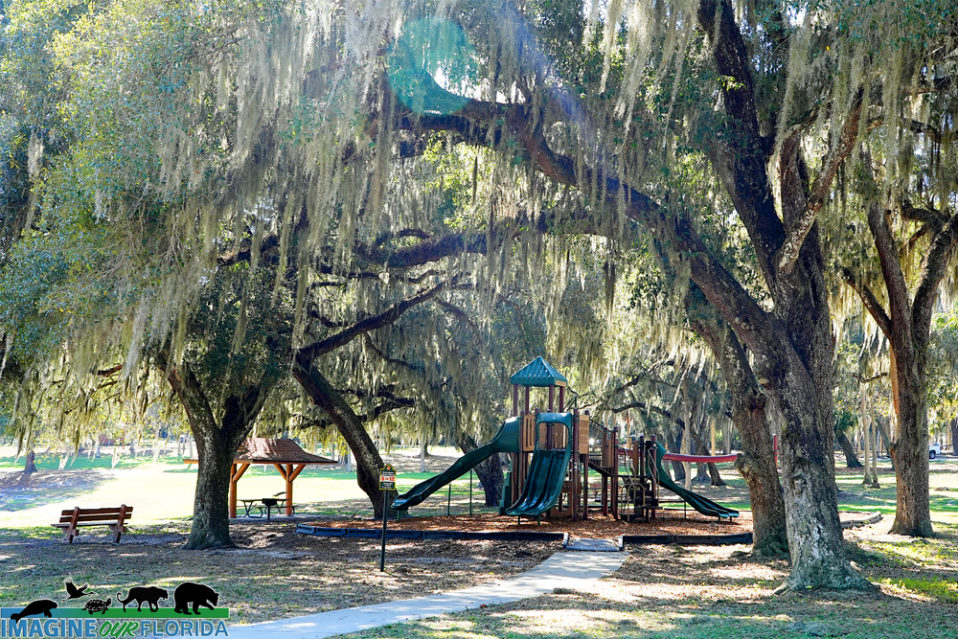 Magnolia Park – Imagine Our Florida, Inc