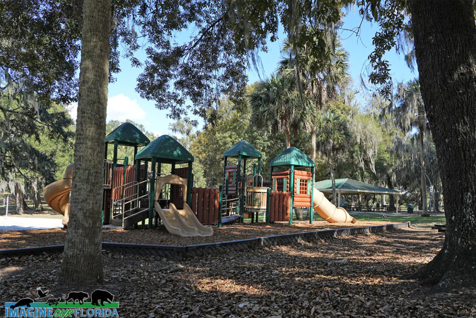 Magnolia Park – Imagine Our Florida, Inc