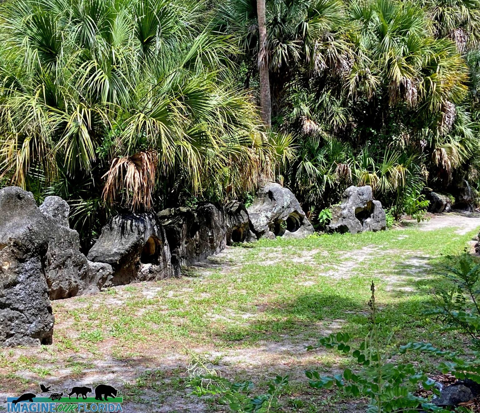 Enchanted Forest Sanctuary – Imagine Our Florida, Inc