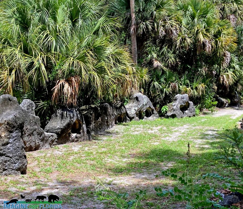 Enchanted Forest Sanctuary – Imagine Our Florida, Inc
