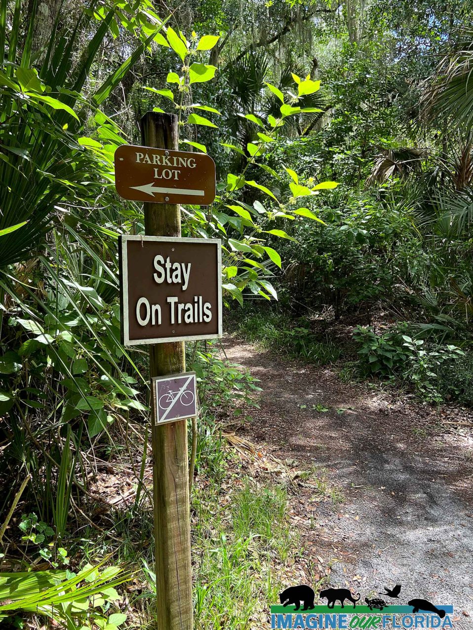 Enchanted Forest Sanctuary – Imagine Our Florida, Inc