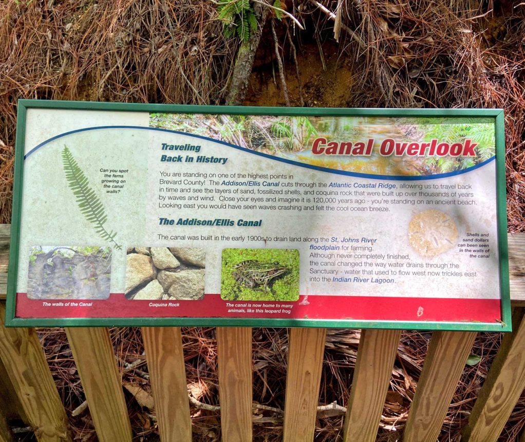 Enchanted Forest Sanctuary – Imagine Our Florida, Inc