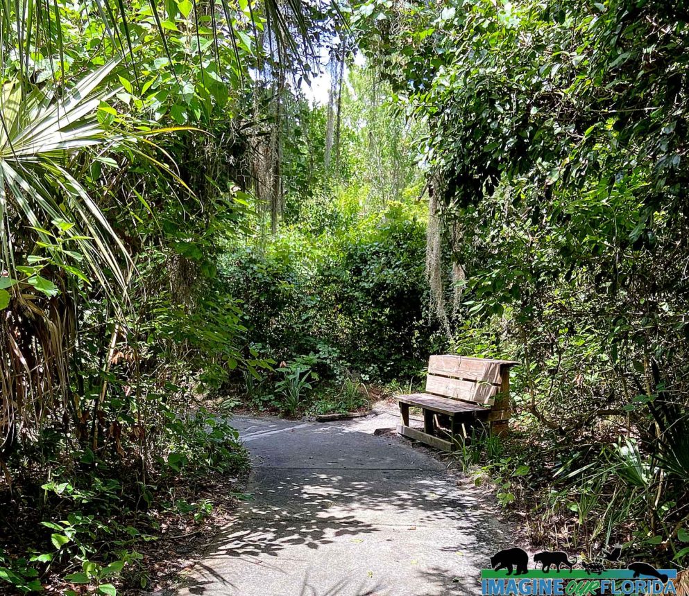 Enchanted Forest Sanctuary – Imagine Our Florida, Inc