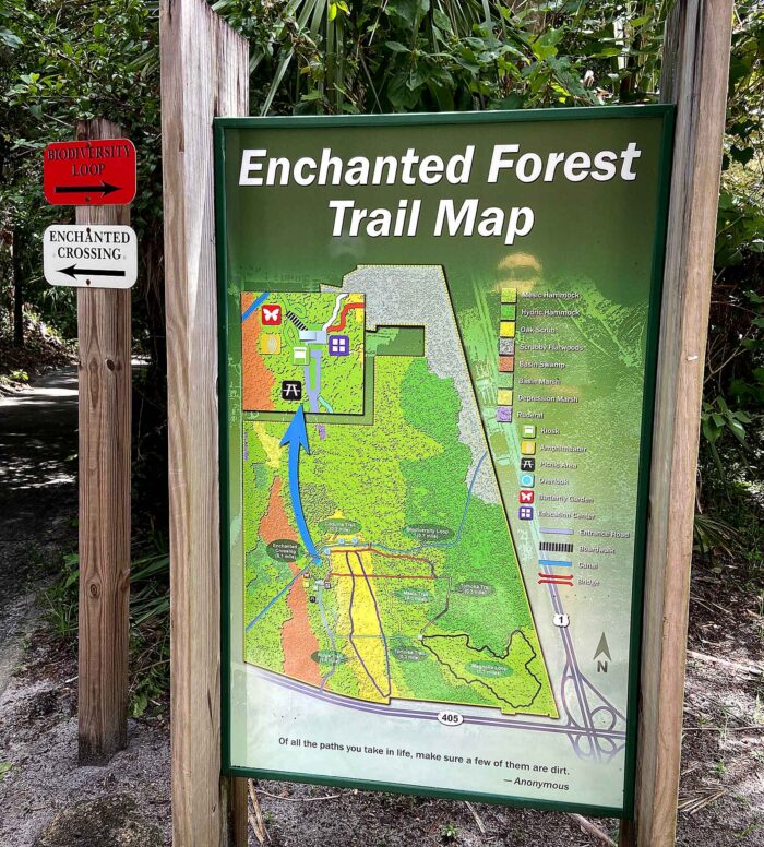 Enchanted Forest Sanctuary – Imagine Our Florida, Inc