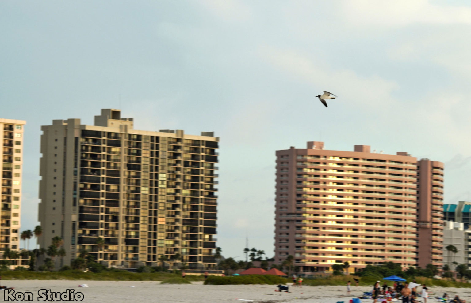 Sand Key Park – Imagine Our Florida, Inc