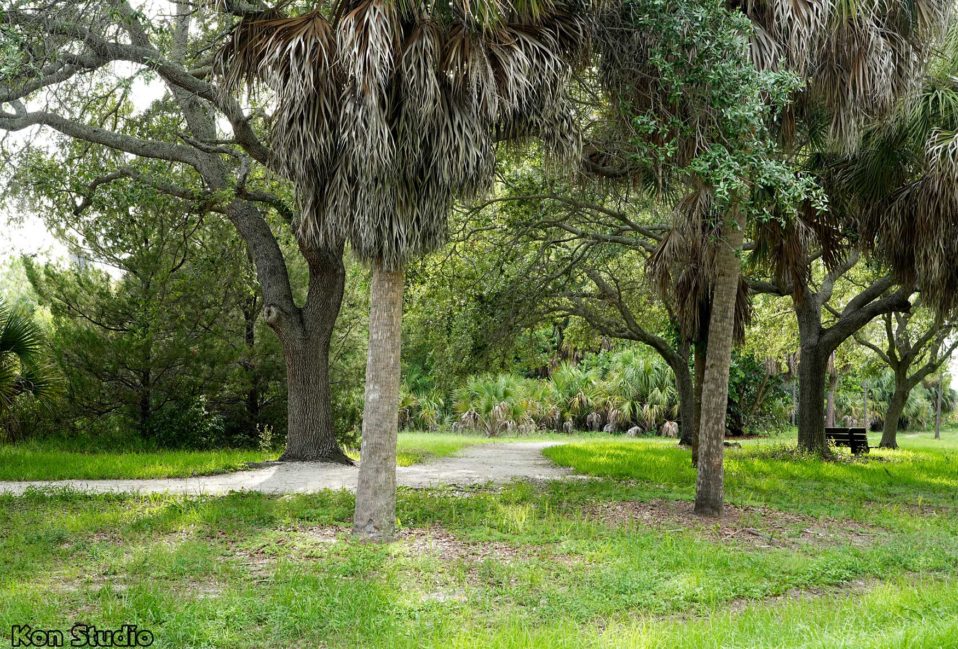 Sand Key Park – Imagine Our Florida, Inc