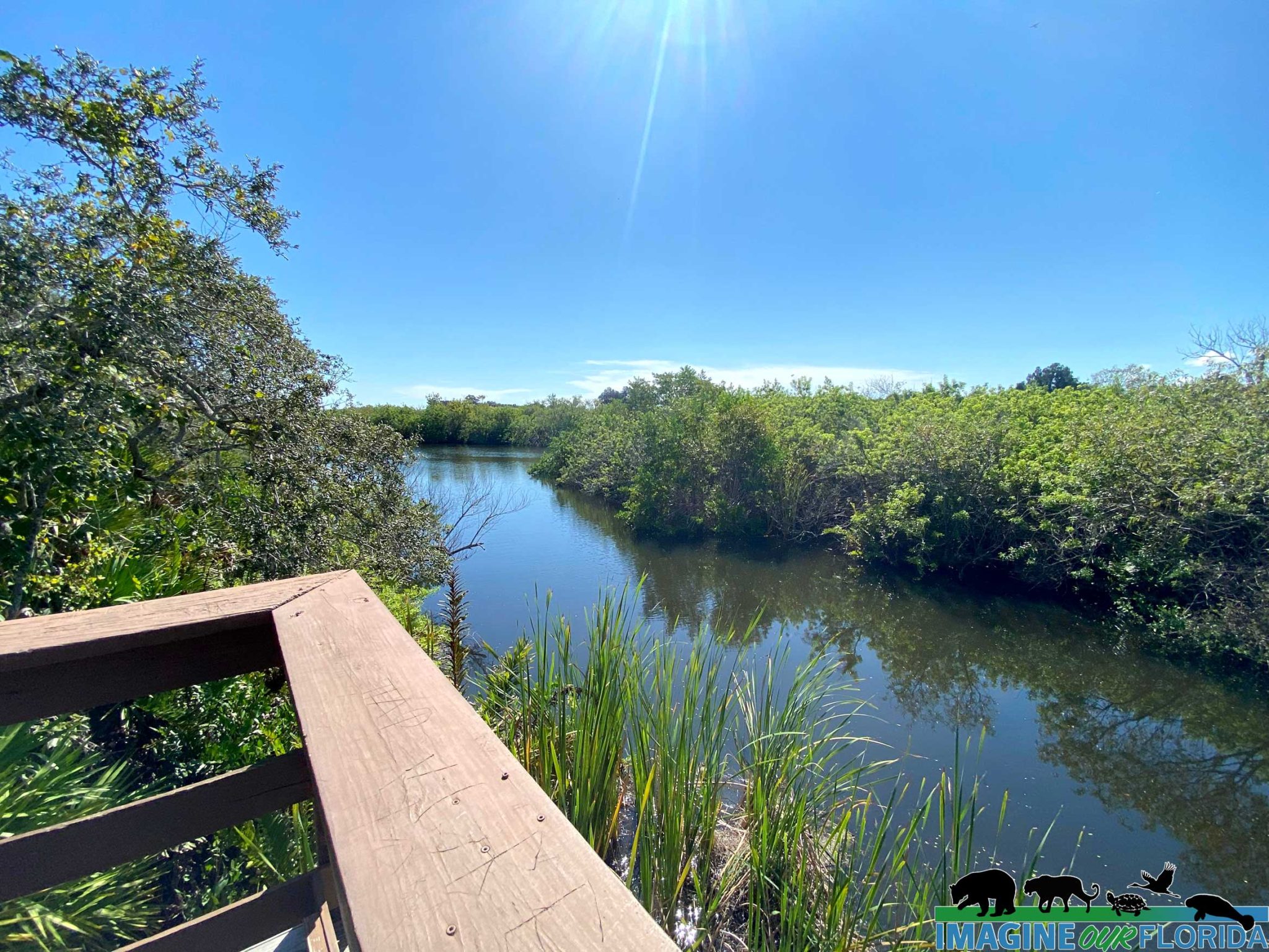 Ais Trail Park – Imagine Our Florida, Inc