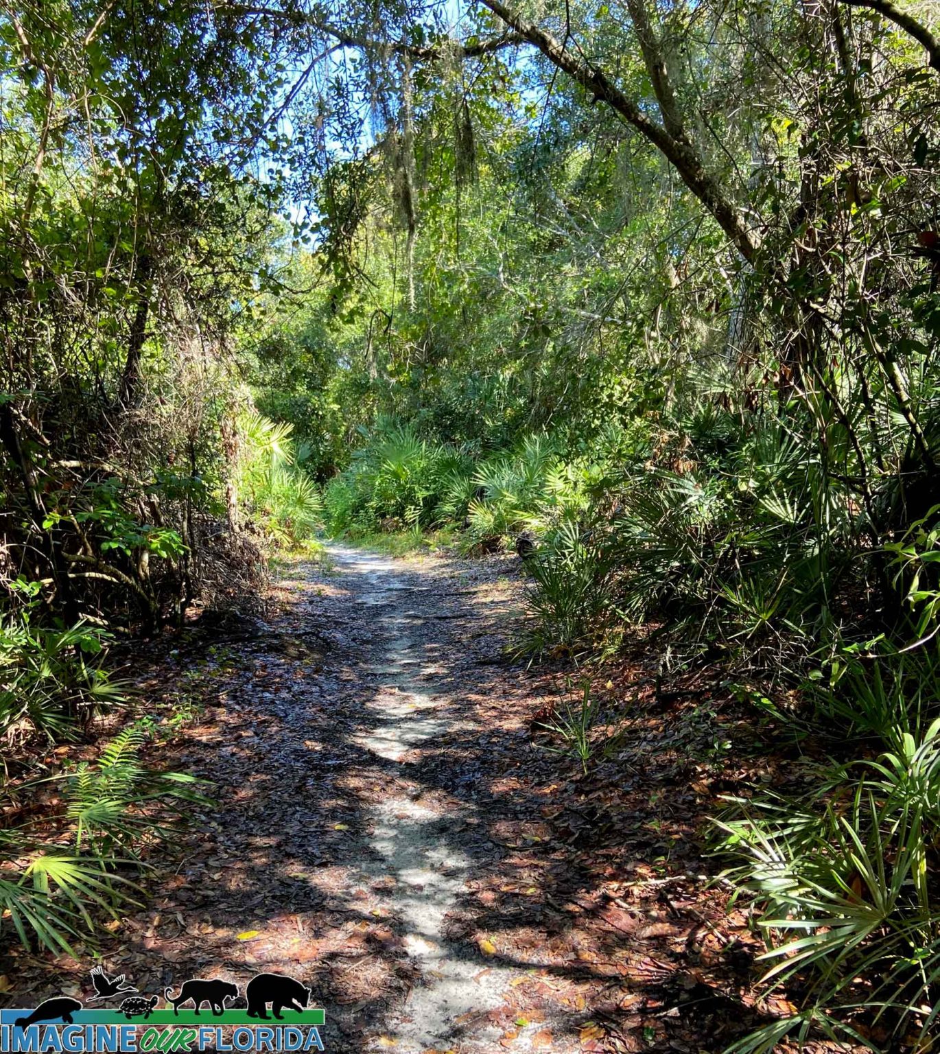 Ais Trail Park – Imagine Our Florida, Inc