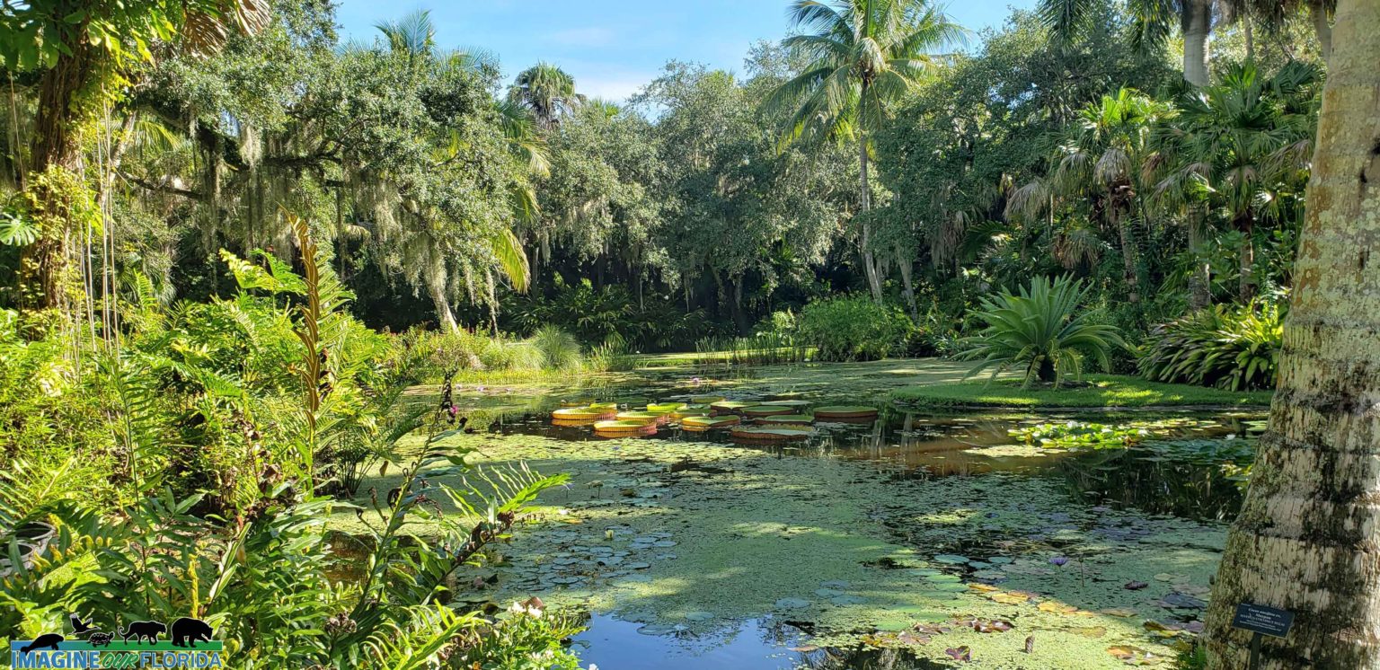 McKee Botanical Gardens – Imagine Our Florida, Inc