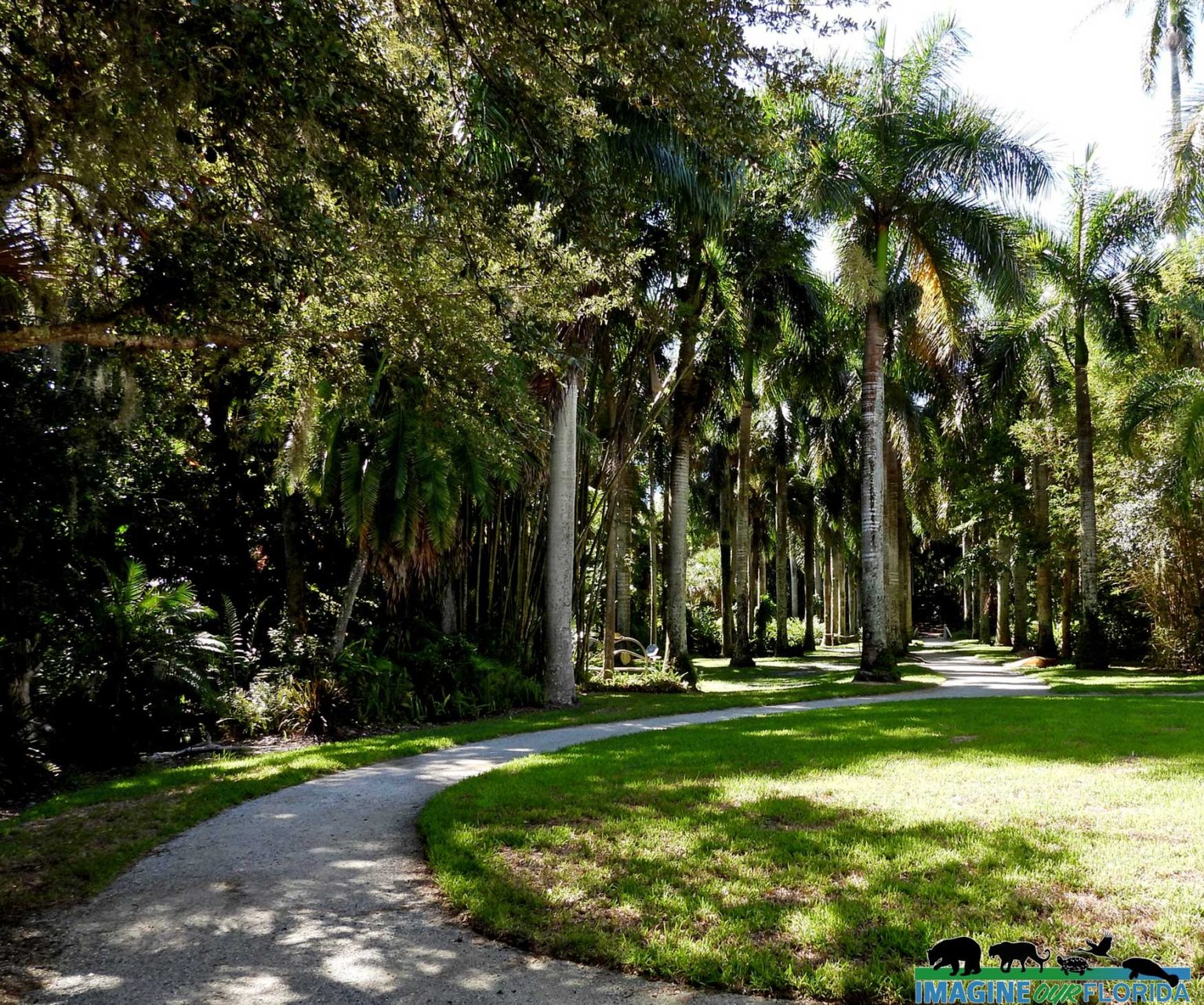 McKee Botanical Gardens – Imagine Our Florida, Inc
