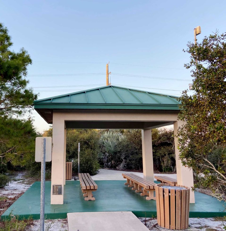 Crystal Lake Sand Pine Scrub – Imagine Our Florida, Inc
