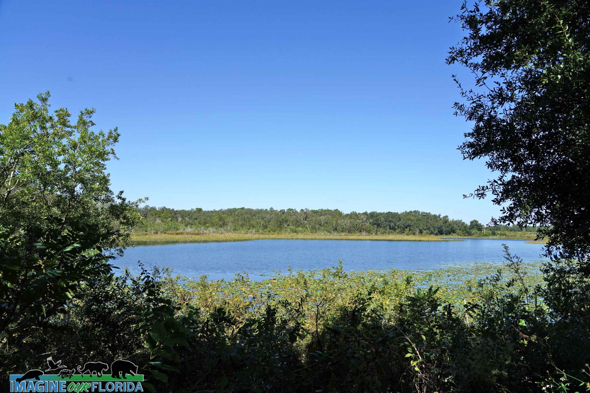 Lake May Reserve – Imagine Our Florida, Inc