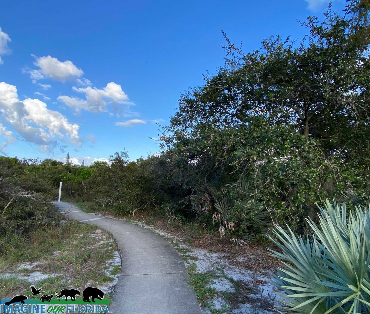 Highlands Scrub Natural Area – Imagine Our Florida, Inc