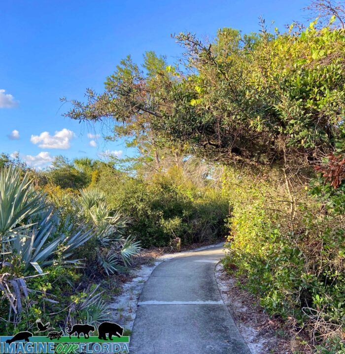 Highlands Scrub Natural Area – Imagine Our Florida, Inc