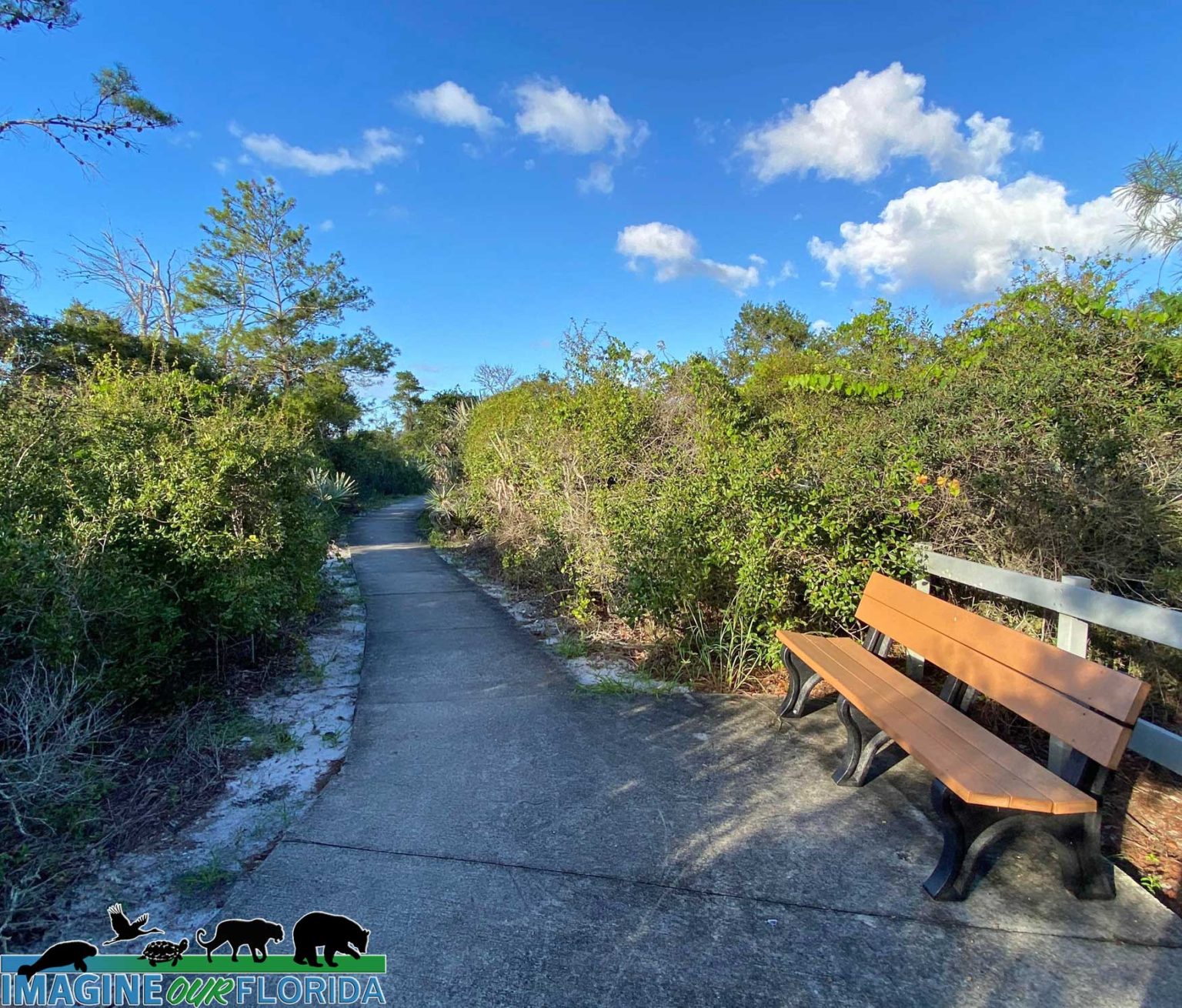Highlands Scrub Natural Area – Imagine Our Florida, Inc