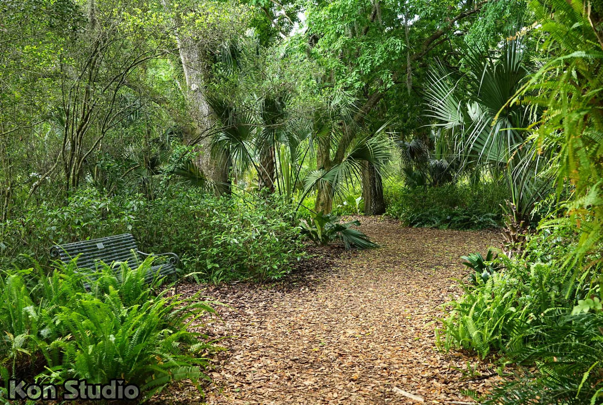 Bok Tower Gardens – Imagine Our Florida, Inc