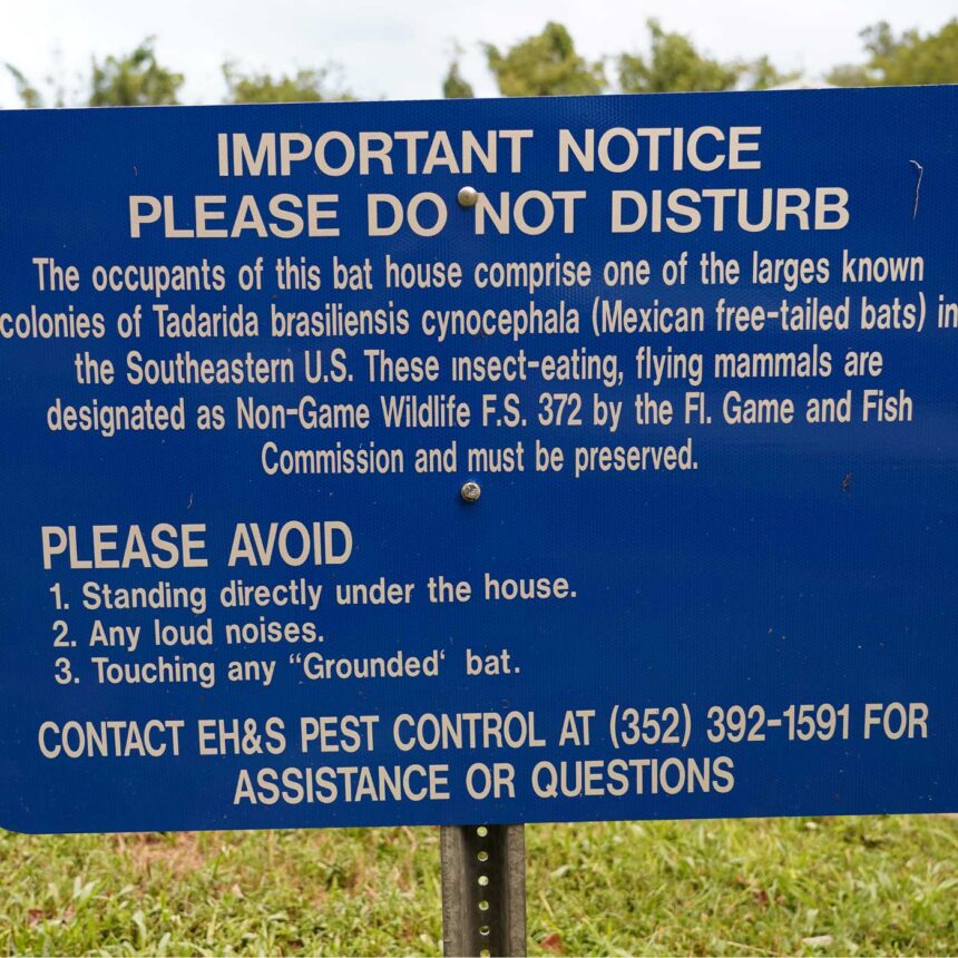 UF Bat Houses – Imagine Our Florida, Inc