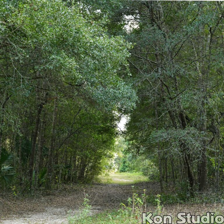 Sandhill Preserve – Imagine Our Florida, Inc