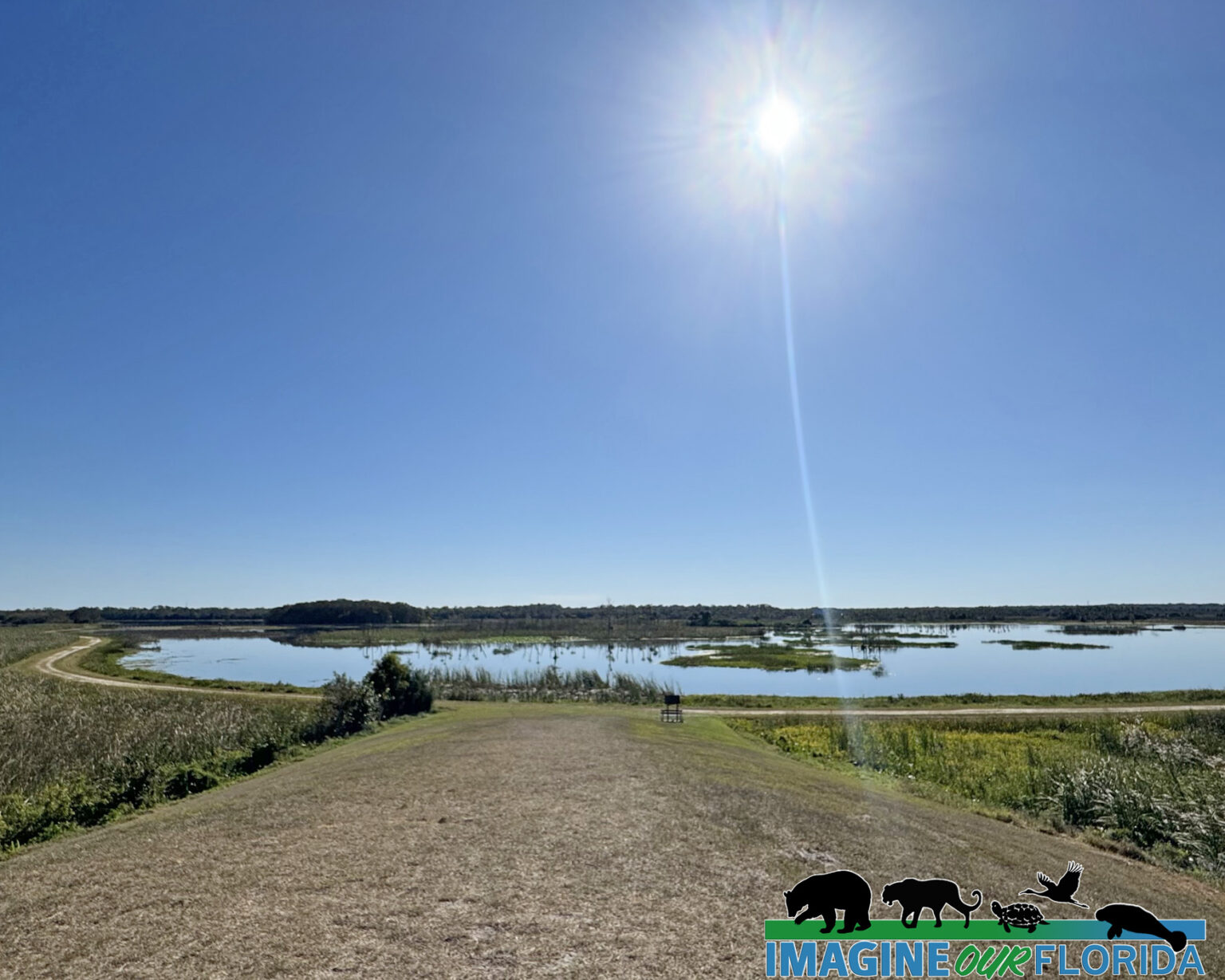 Wetlands – Definition and Description – Imagine Our Florida, Inc